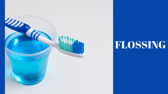 What are the different parts of the tooth?